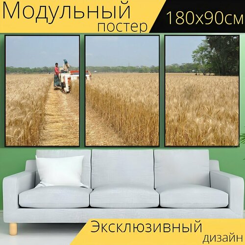 Модульный постер "Сельское хозяйство, поля, ферма" 180 x 90 см. для интерьера