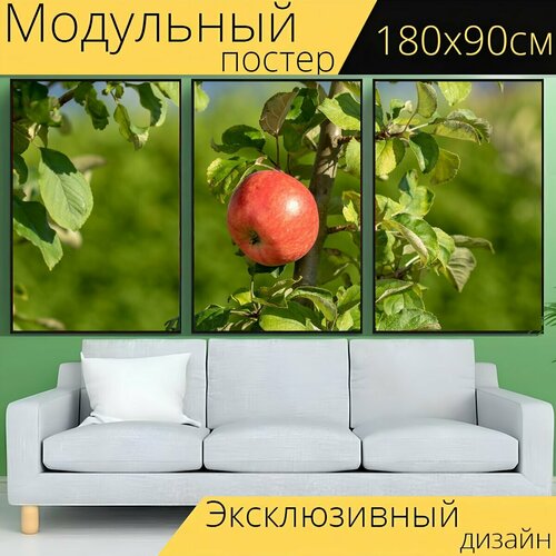 Модульный постер "Яблоко, фрукты, свежий" 180 x 90 см. для интерьера