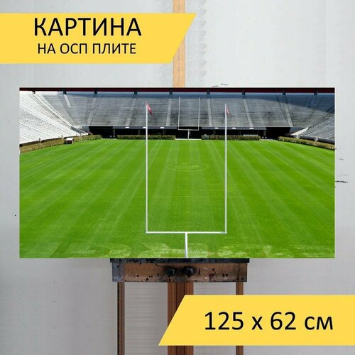 Картина на ОСП 125х62 см. "Университет грузии, футбольный стадион, спорт" горизонтальная, для интерьера, с креплениями