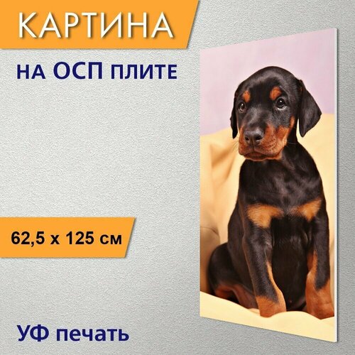Вертикальная картина на ОСП "Собака, доберман, домашний питомец" 62x125 см. для интерьериа