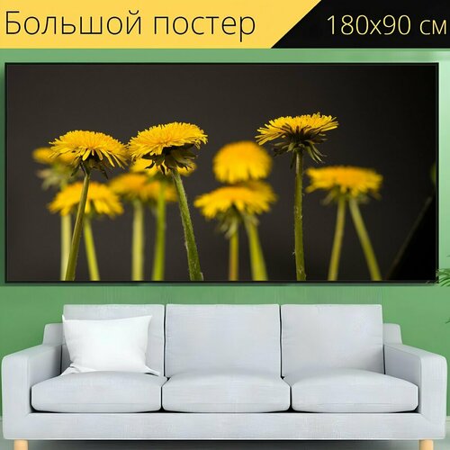 Большой постер "Одуванчик, цветы, завод" 180 x 90 см. для интерьера
