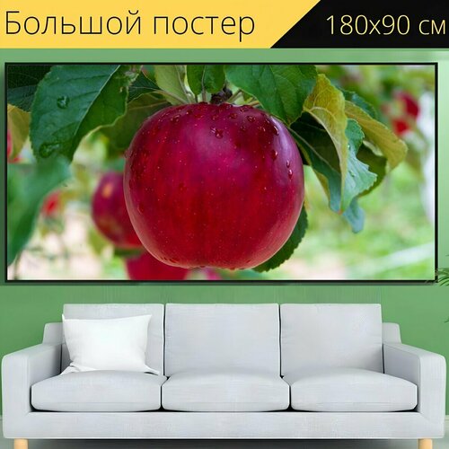 Большой постер "Яблоко, яблоневый сад, красный" 180 x 90 см. для интерьера