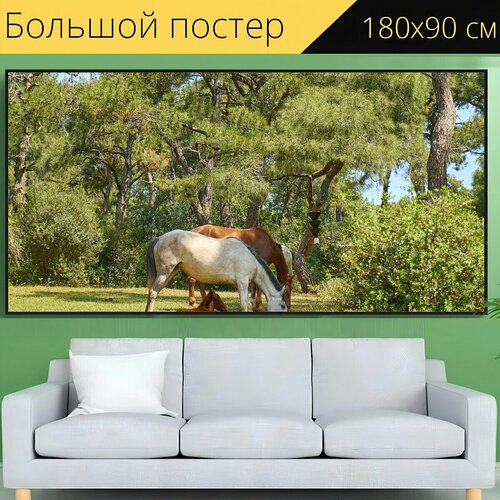 Большой постер "Лошадь, природа, животное" 180 x 90 см. для интерьера
