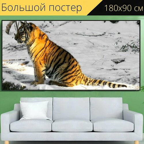Большой постер "Тигр, тигренок, большой кот" 180 x 90 см. для интерьера