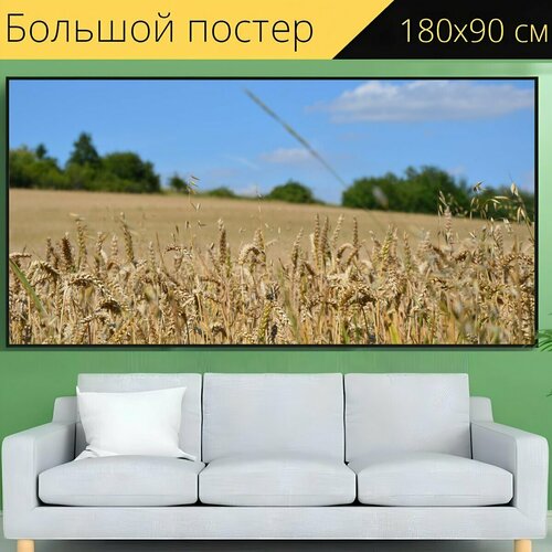 Большой постер "Пшеница, поле, обрезать" 180 x 90 см. для интерьера