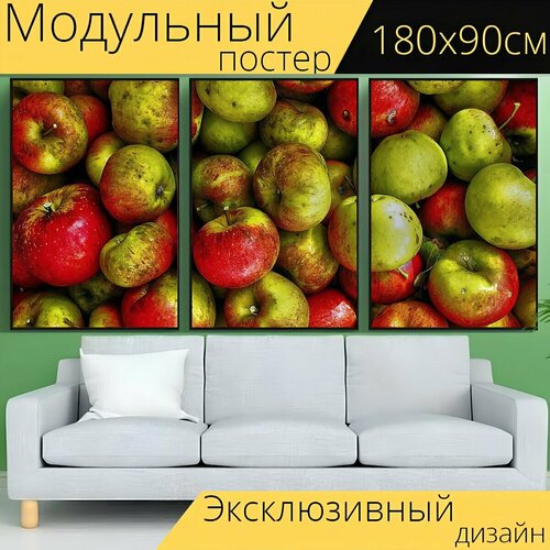 Модульный постер "Яблоки, фрукты, семечковые фрукты" 180 x 90 см. для интерьера
