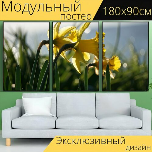Модульный постер "Лилейник, желтый цветок, многолетнее растение" 180 x 90 см. для интерьера