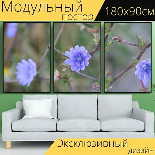 Модульный постер "Васильковый, остроконечный цветок, синий" 180 x 90 см. для интерьера