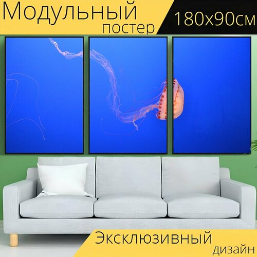 Модульный постер "Море, океан, подводный" 180 x 90 см. для интерьера