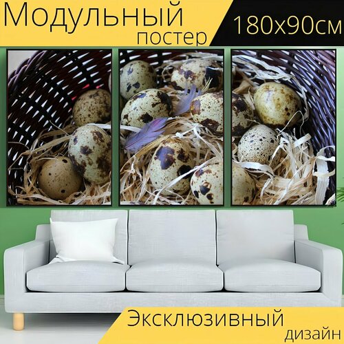 Модульный постер "Яйца, корзина, перепелиные яйца" 180 x 90 см. для интерьера