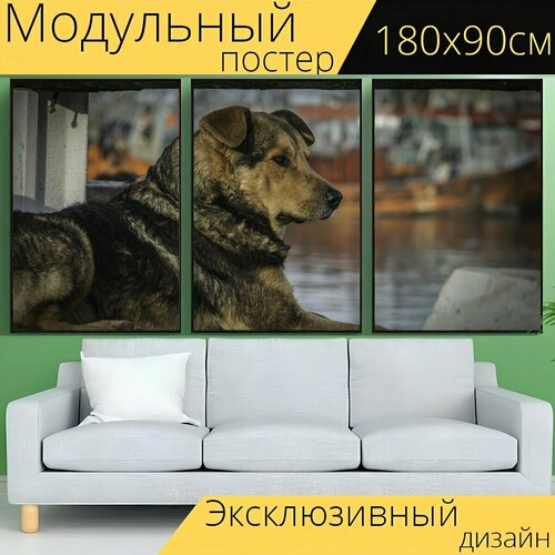 Модульный постер "Собака, лодка, порт" 180 x 90 см. для интерьера