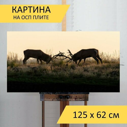 Картина на ОСП 125х62 см. "Красный олень, рога, дикий" горизонтальная, для интерьера, с креплениями