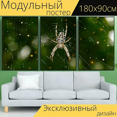 Модульный постер "Крестоносец сад, сад паук, паук" 180 x 90 см. для интерьера