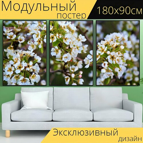 Модульный постер "Цветок, весна, природа" 180 x 90 см. для интерьера