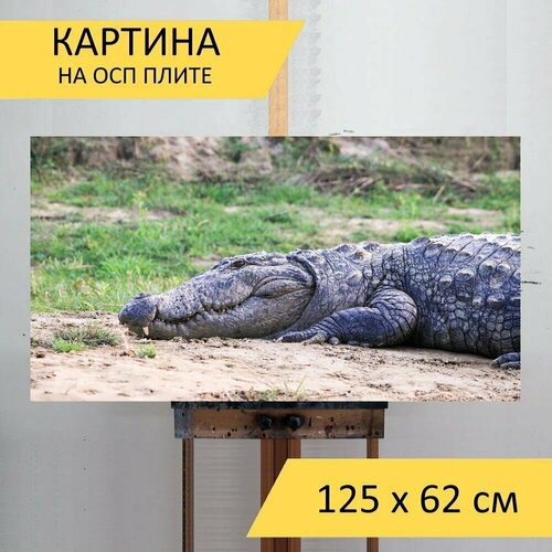 Картина на ОСП 125х62 см. "Крокодил, животное, дикая природа" горизонтальная, для интерьера, с креплениями