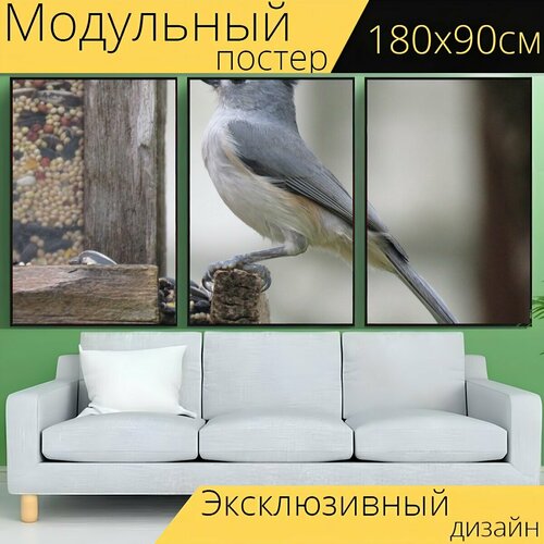Модульный постер "Птица, милый, дикая природа" 180 x 90 см. для интерьера