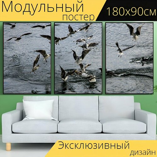 Модульный постер "Чайки, птицы, вода" 180 x 90 см. для интерьера