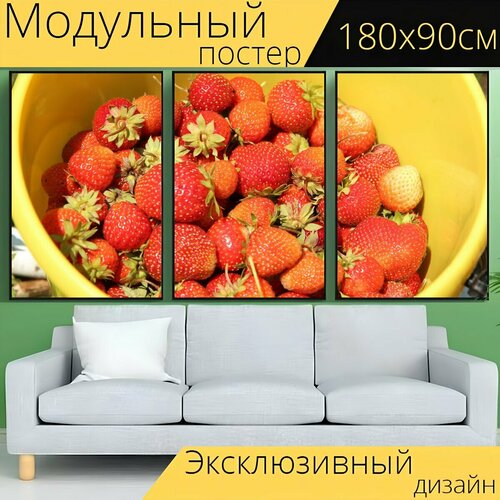 Модульный постер "Клубника, ягоды, красный" 180 x 90 см. для интерьера