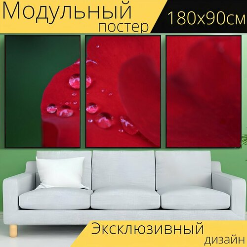 Модульный постер "Капли дождя, красные лепестки, красная роза" 180 x 90 см. для интерьера