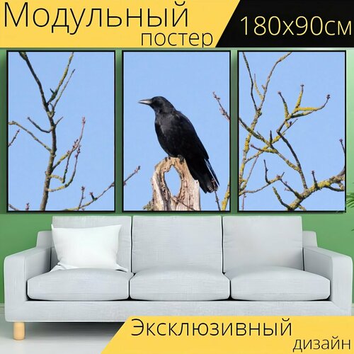 Модульный постер "Ворона, птица, чернить" 180 x 90 см. для интерьера