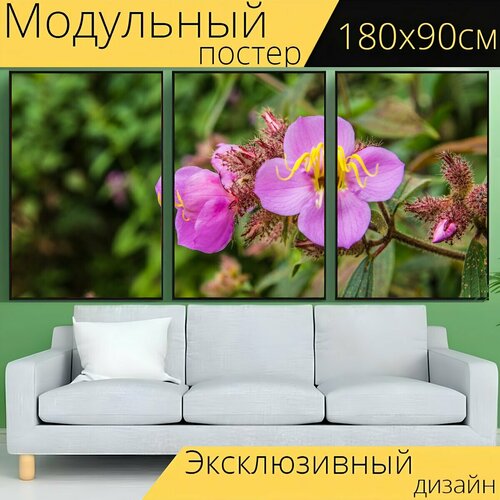 Модульный постер "Цветок, природа, фиолетовые цветы" 180 x 90 см. для интерьера