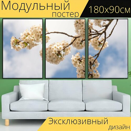 Модульный постер "Цветение вишни, сакура, цветы" 180 x 90 см. для интерьера