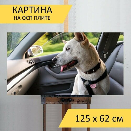 Картина на ОСП 125х62 см. "Собака, машина, поездка" горизонтальная, для интерьера, с креплениями
