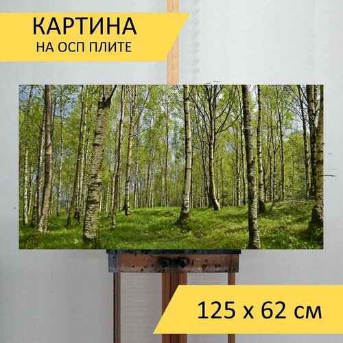 Картина на ОСП 125х62 см. "Березы, березовый лес, лес" горизонтальная, для интерьера, с креплениями