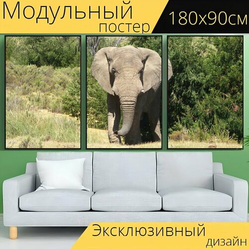 Модульный постер "Африканский слон, сафари, южная африка" 180 x 90 см. для интерьера