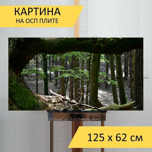 Картина на ОСП 125х62 см. "Вниз, природа, лес" горизонтальная, для интерьера, с креплениями