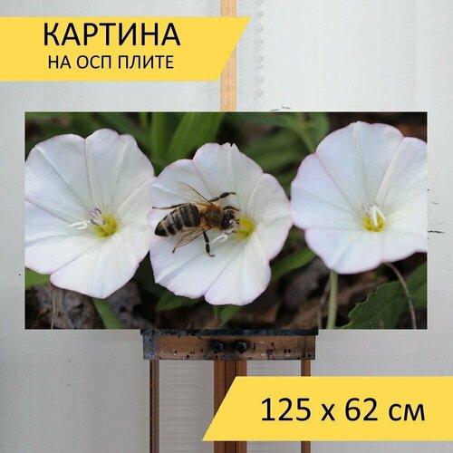 Картина на ОСП 125х62 см. "Пчела, насекомое, цветы" горизонтальная, для интерьера, с креплениями