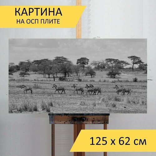 Картина на ОСП 125х62 см. "Зебра, африка, дикая природа" горизонтальная, для интерьера, с креплениями