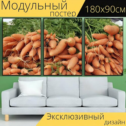 Модульный постер "Морковь, фермеры, рынок" 180 x 90 см. для интерьера