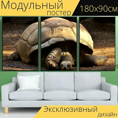 Модульный постер "Гигантские черепахи, животные, бак" 180 x 90 см. для интерьера
