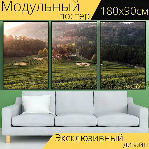 Модульный постер "Для зеленого чая, пейзажи, утро" 180 x 90 см. для интерьера