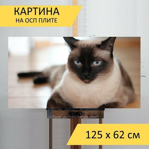 Картина на ОСП 125х62 см. "Кот, домашняя кошка, домашнее животное" горизонтальная, для интерьера, с креплениями