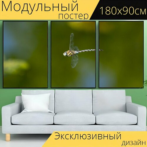 Модульный постер "Стрекоза, насекомое, макрос" 180 x 90 см. для интерьера