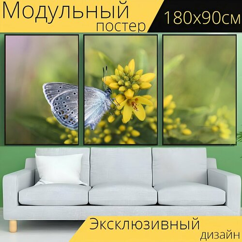 Модульный постер "Бабочка, цветок, бутоны" 180 x 90 см. для интерьера