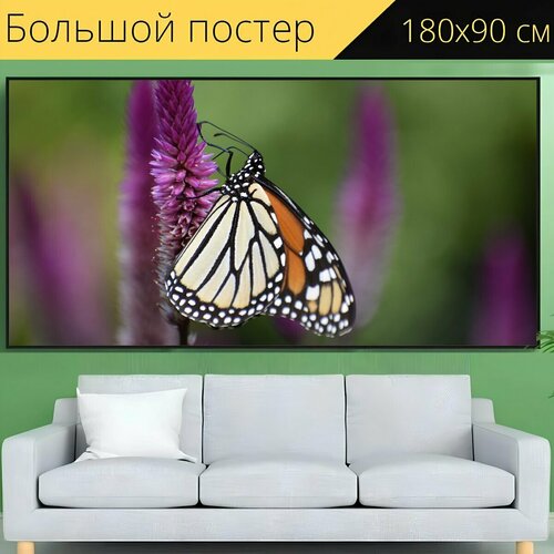 Большой постер "Бабочка монарх, бабочка, цветок" 180 x 90 см. для интерьера