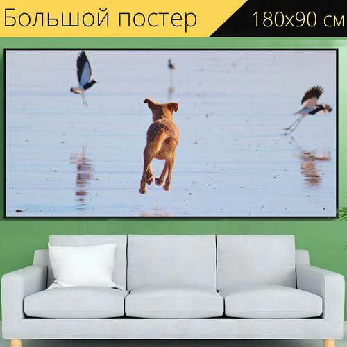 Большой постер "Собака, охота, птицы" 180 x 90 см. для интерьера