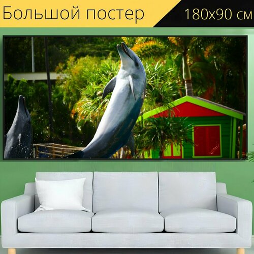 Большой постер "Дельфин, улыбка, прыгать" 180 x 90 см. для интерьера