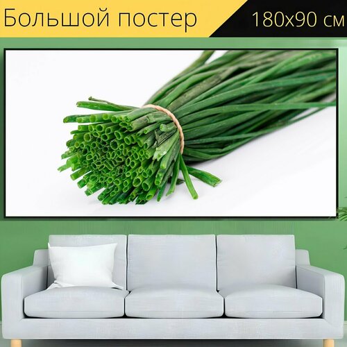 Большой постер "Зеленый лук, салат лук, вкусовые добавки" 180 x 90 см. для интерьера