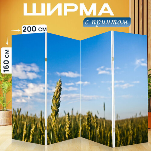 Ширма перегородка с принтом "Зерно, поле, кукуруза" на холсте - 200x160 см. для зонирования, раскладная