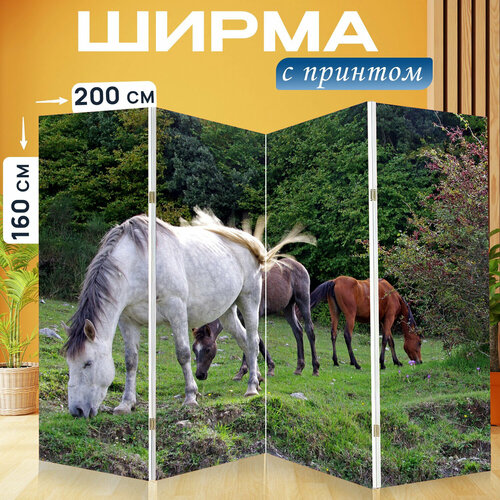 Ширма перегородка с принтом "Лошадь, жеребенок, лошади" на холсте - 200x160 см. для зонирования, раскладная