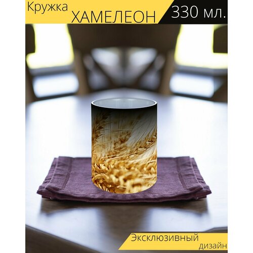 Кружка хамелеон с принтом "Дева, желтый, пшеница" 330 мл.
