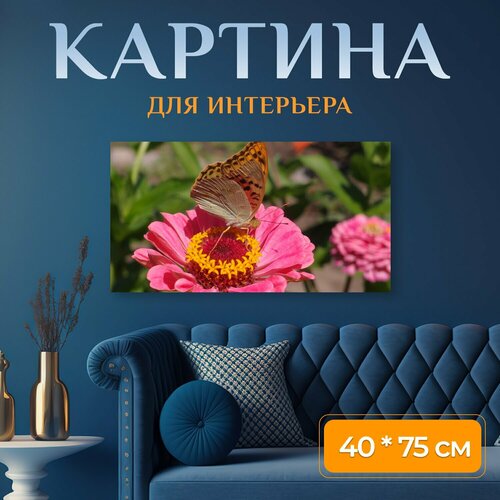 Картина на холсте "Бабочка, лето, цветок" на подрамнике 75х40 см. для интерьера