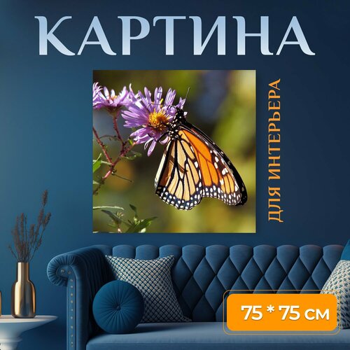 Картина на холсте "Сад, цветы, бабочка" на подрамнике 75х75 см. для интерьера
