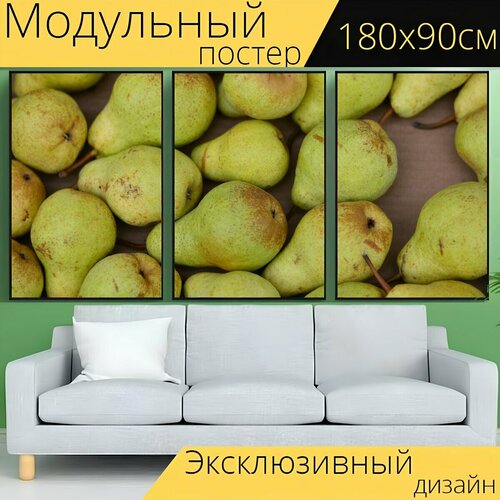 Модульный постер "Груши, фрукты, уборка урожая" 180 x 90 см. для интерьера