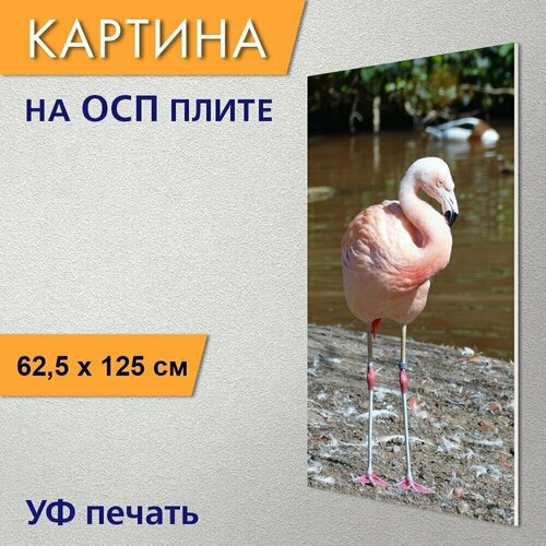 Вертикальная картина на ОСП "Птица, фламинго, природа" 62x125 см. для интерьериа