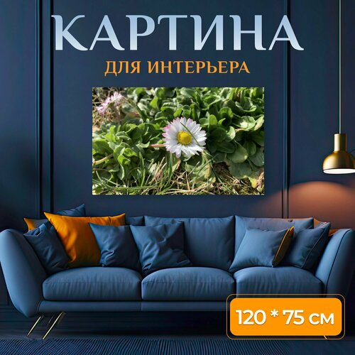 Картина на холсте "Цветок, весна, природа" на подрамнике 120х75 см. для интерьера